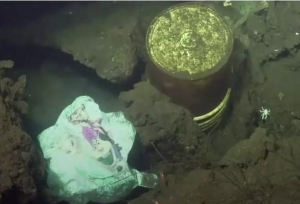 Depressing find at the bottom of the Mariana Trench is a warning to the ...